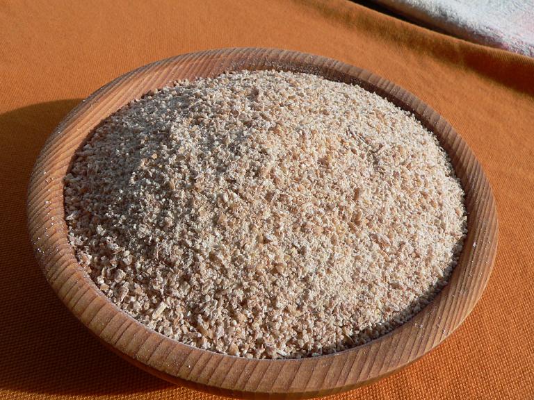 Weizenschrot, Triticum aestivum